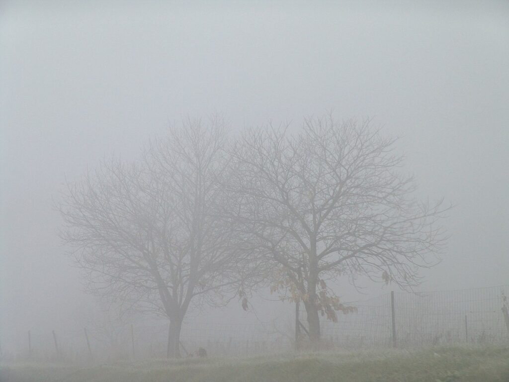 Mist Vs Fog Vs Steam What Is The Difference Study With Alex Mist Vs Fog Vs Steam What Is The Difference Study With Alex